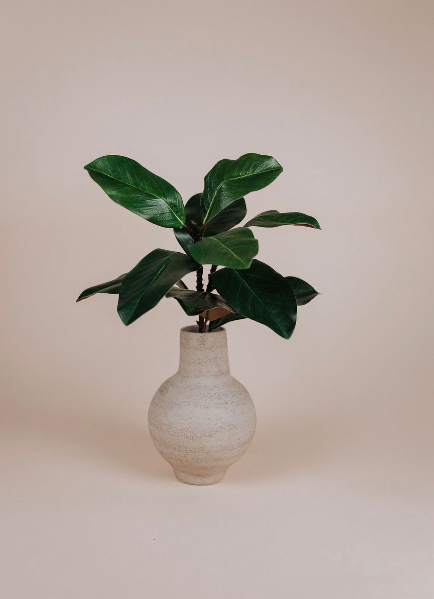 REAL TOUCH MAGNOLIA BRANCH – The Crowded Table Co.